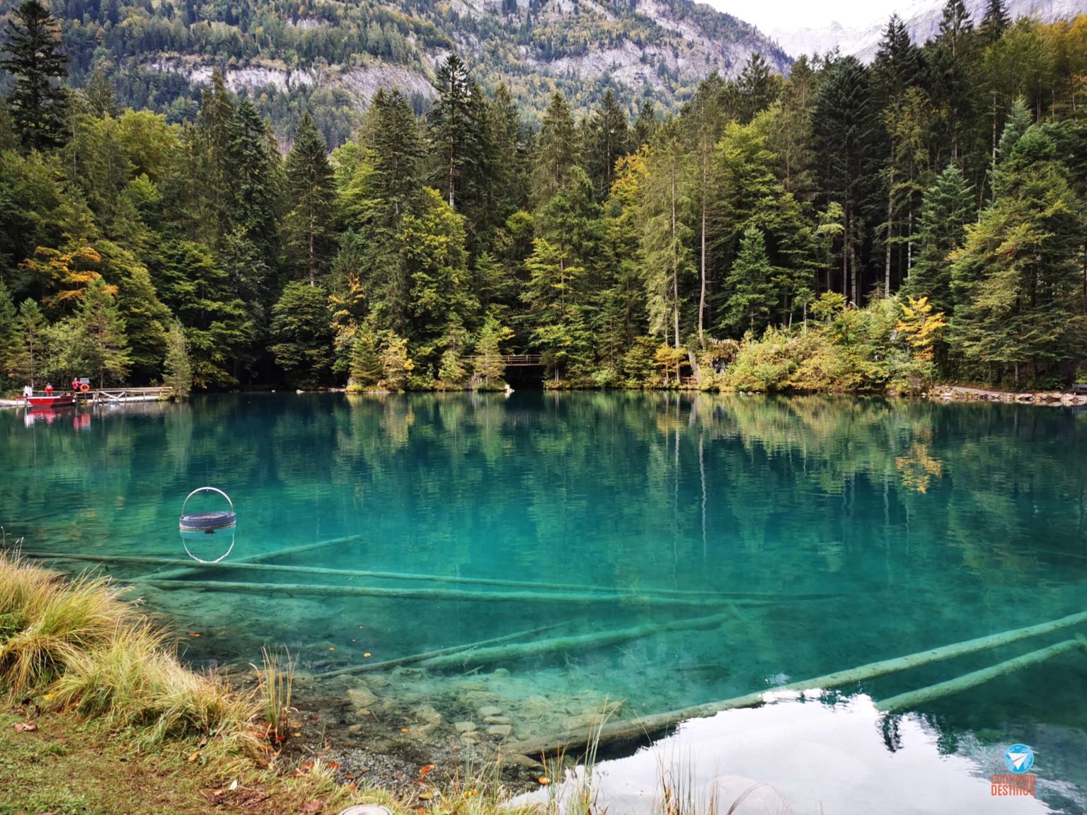 Blausee, o lago mais lindo e impressionante da Suíça • Contando Destinos