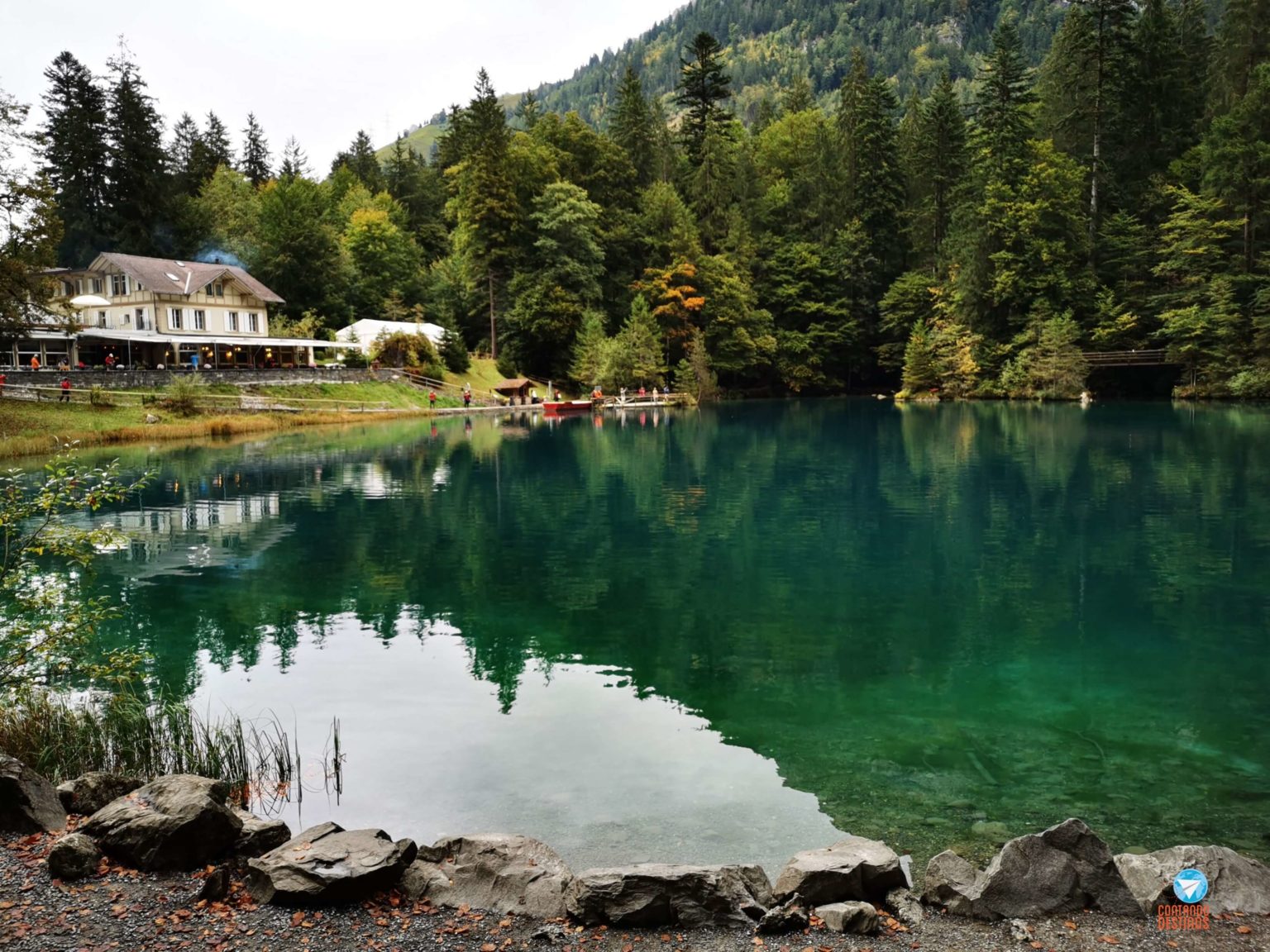 Blausee, o lago mais lindo e impressionante da Suíça • Contando Destinos
